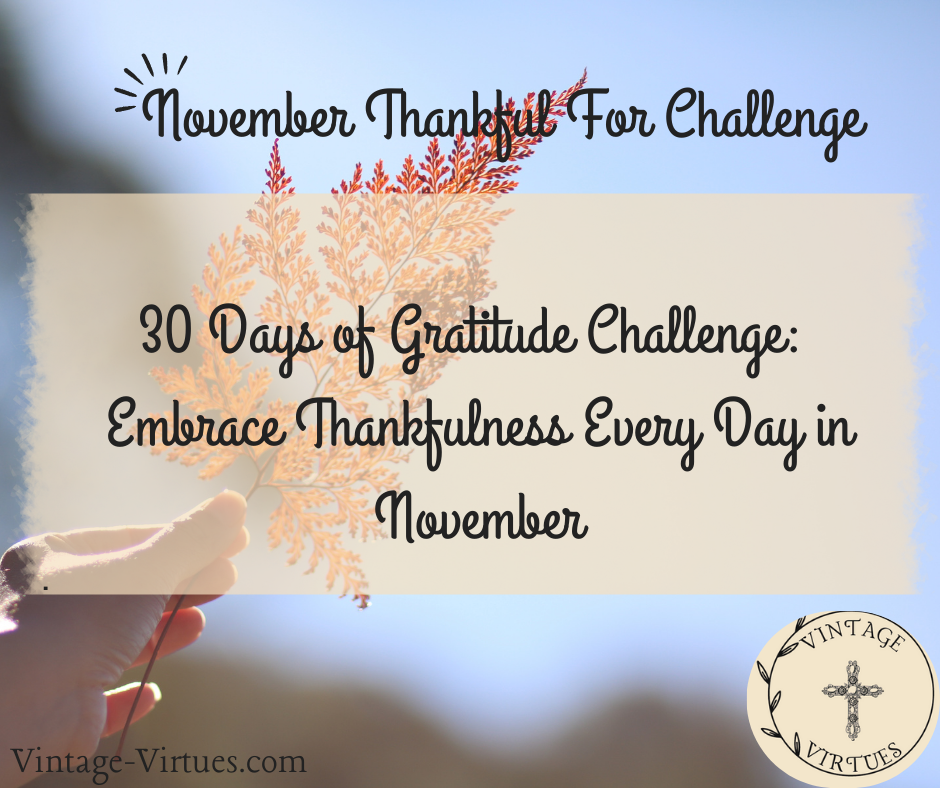 30 Days of Gratitude Challenge: Embrace Thankfulness Every Day in ...
