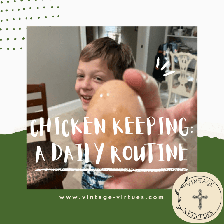 Chicken Keeping: A Daily Routine – Vintage Virtues