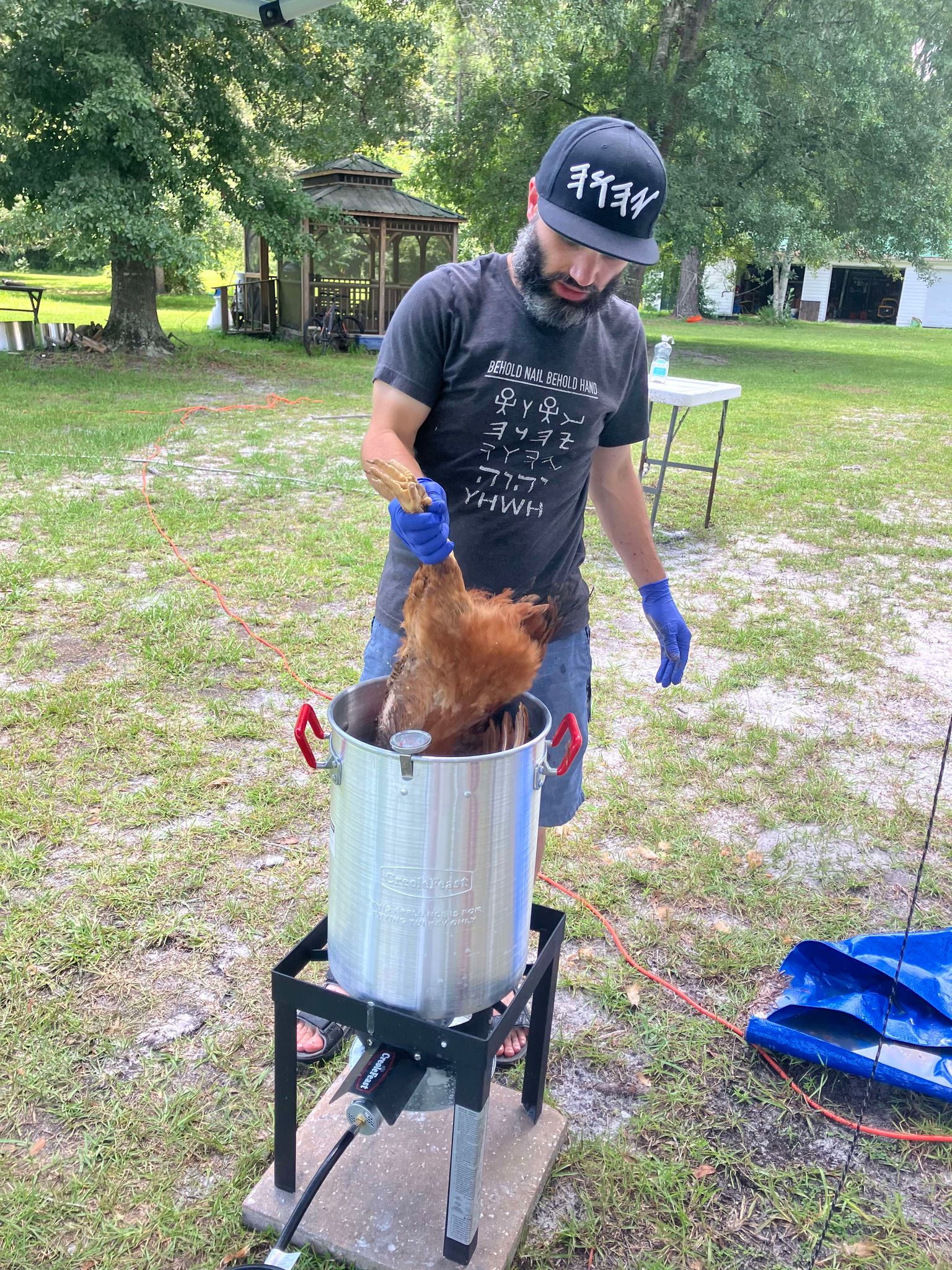 Beginners Guide on How to Process Chickens at Home – Vintage Virtues
